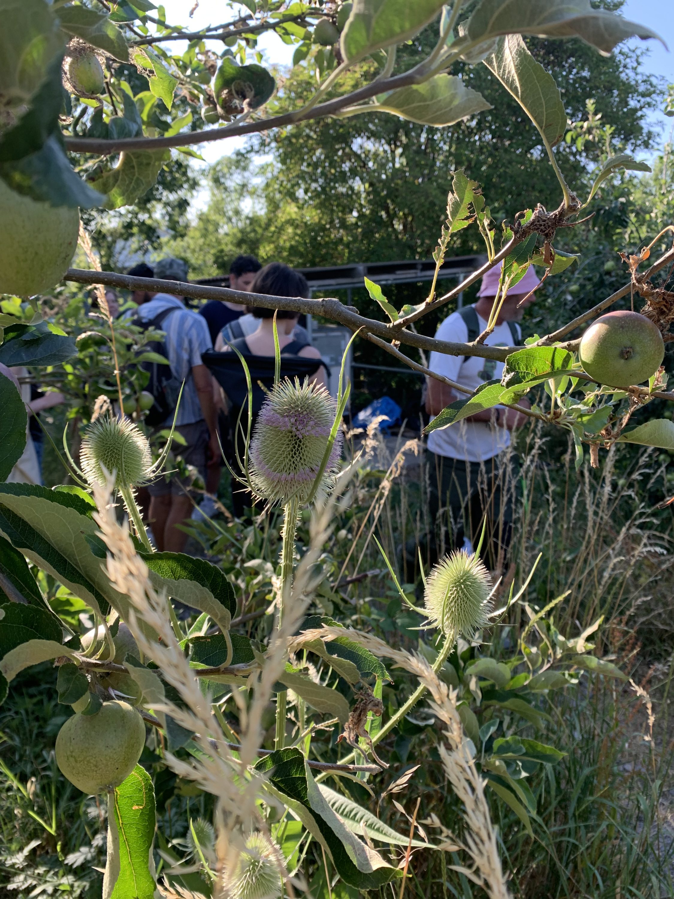 Made in Bonnington - Art and the Public Realm Bristol